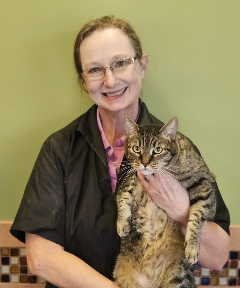 Veterinarian In Plano, TX | Russell Creek Pet Clinic & Hospital